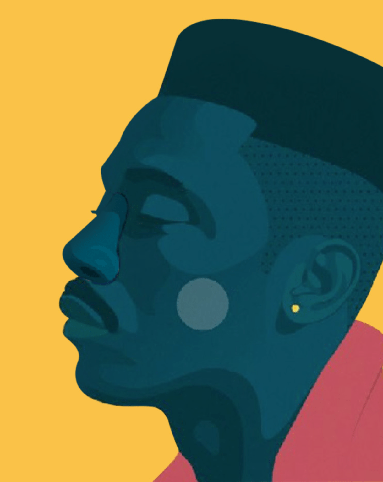 Health Information Portal - Metropolitan Lesotho